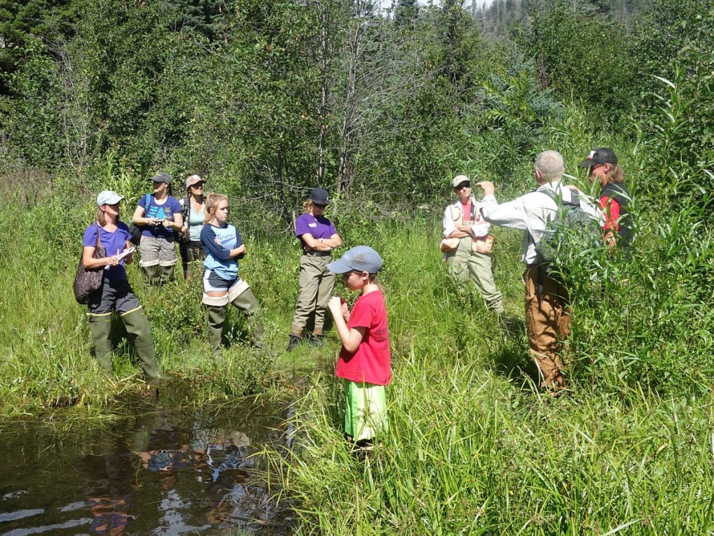 Methow Beaver Project – Beavers & People restoring our watersheds together