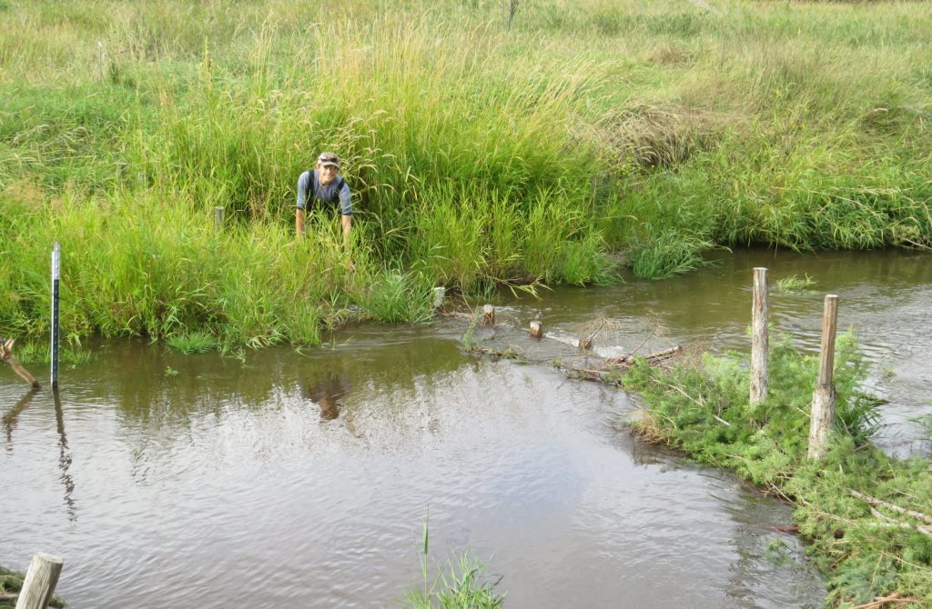 2023 Beaver Conservation & Beaver-based Restoration Workshops – Methow ...