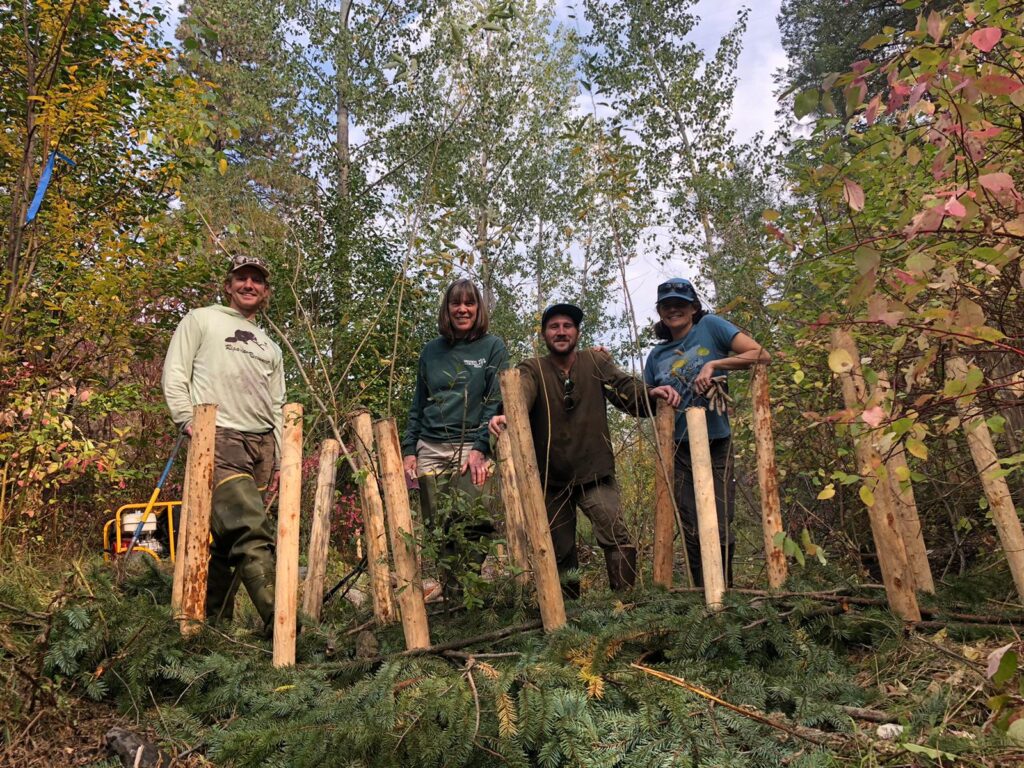 2023 Beaver Conservation & Beaver-based Restoration Workshops – Methow ...