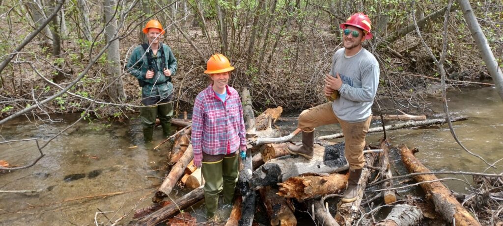 2023 Beaver Conservation & Beaver-based Restoration Workshops – Methow ...