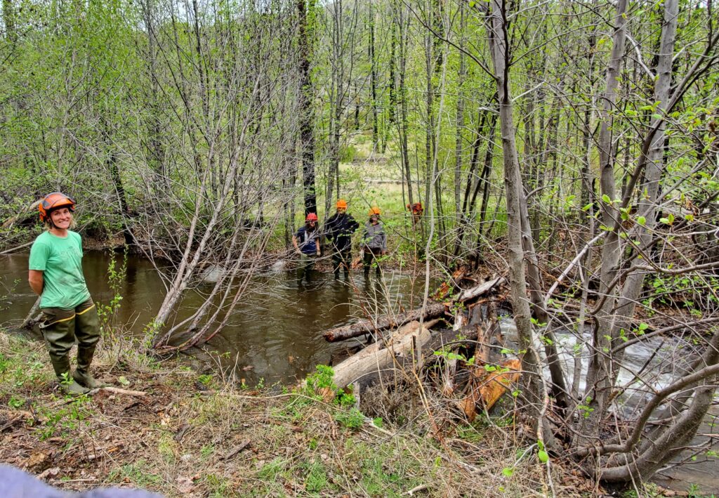 2023 Beaver Conservation & Beaver-based Restoration Workshops – Methow ...