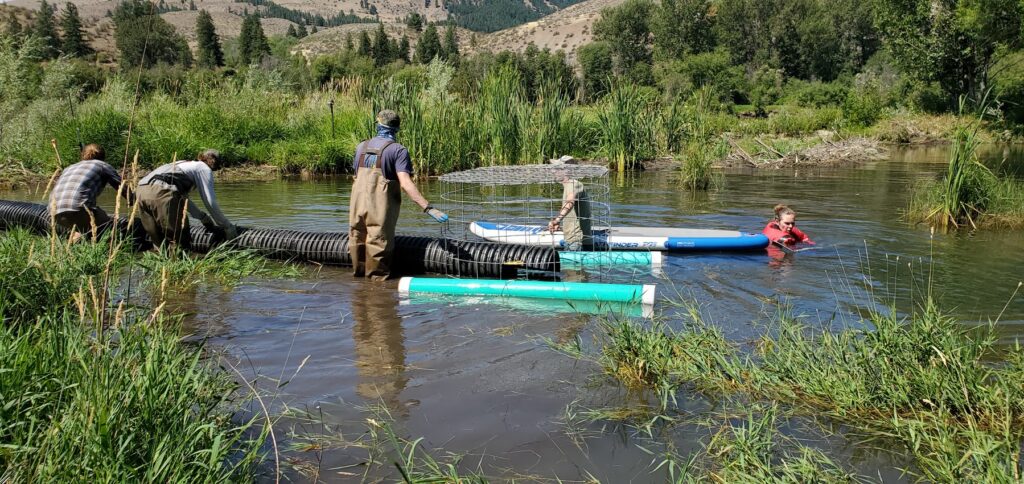 2023 Beaver Conservation & Beaver-based Restoration Workshops – Methow ...