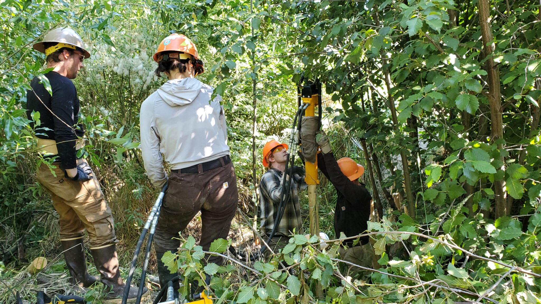 Watershed Restoration – Methow Beaver Project