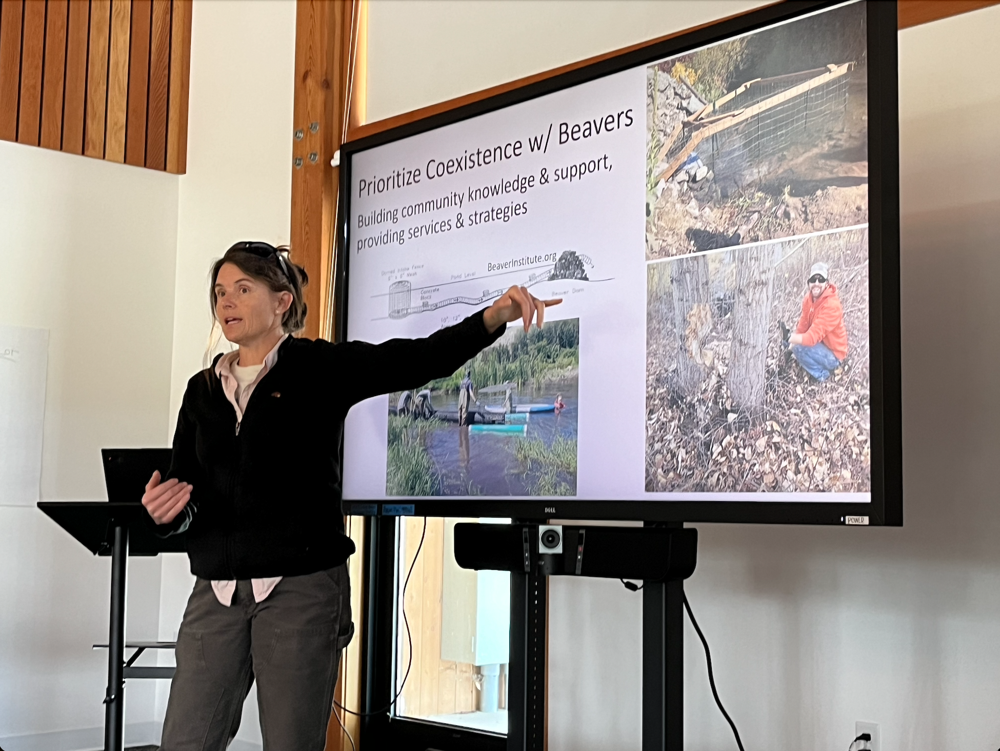 Methow Beaver Project – Beavers & People restoring our watersheds together