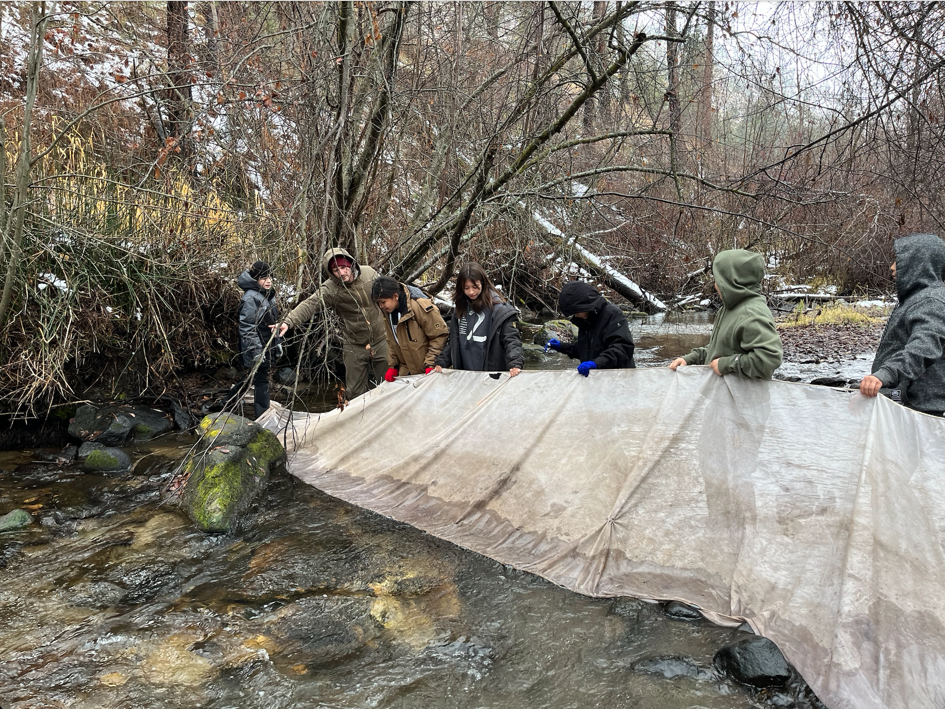 Education and Outreach – Methow Beaver Project