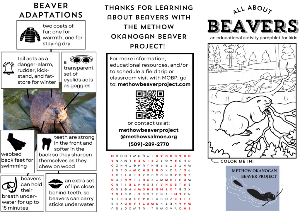 Resources for Educators – Methow Beaver Project