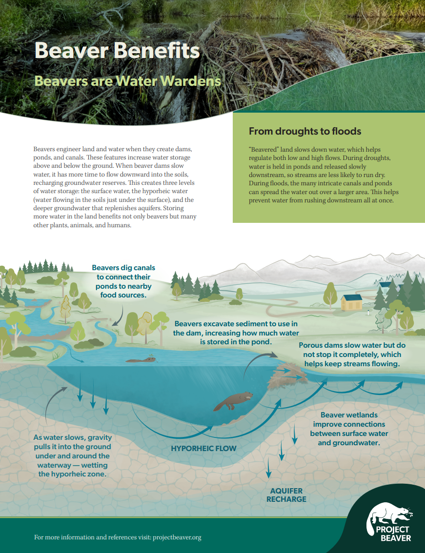 Resources for Landowners – Methow Beaver Project