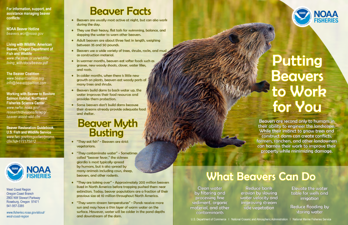 Resources for Educators – Methow Beaver Project
